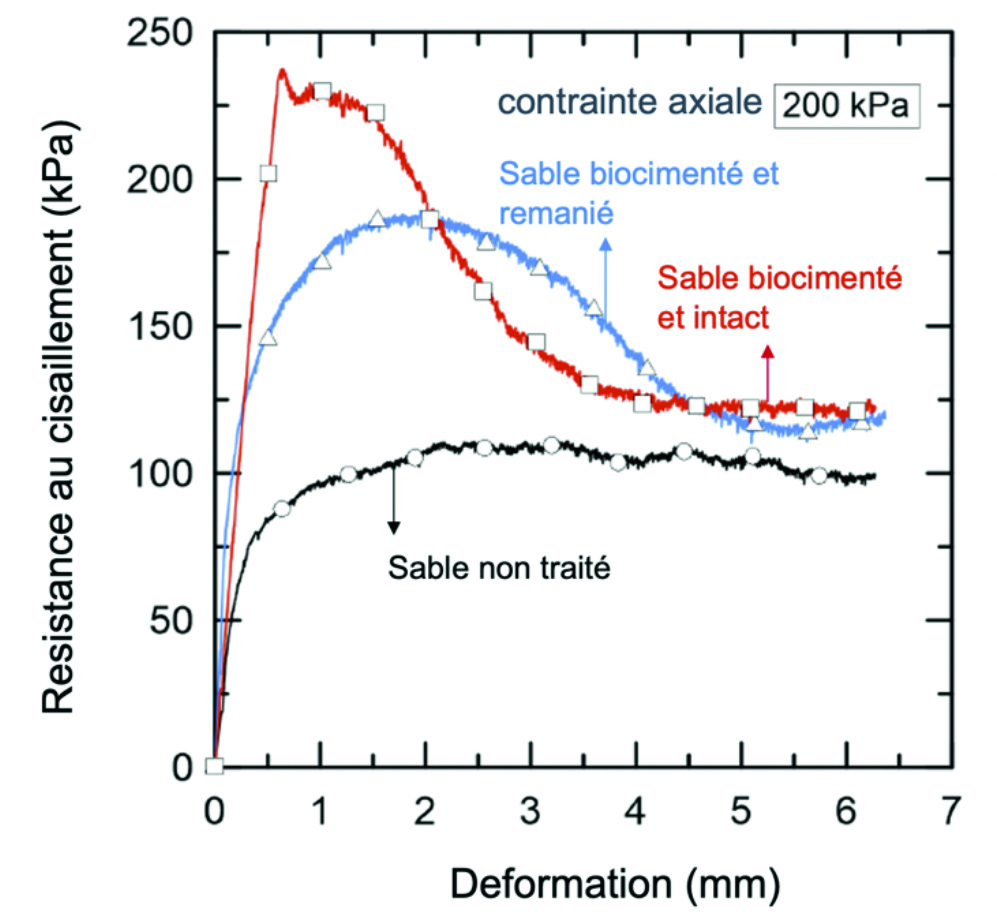 Actualités - LA BIO-CIMENTATION : UNE RÉVOLUTION POUR LE RENFORCEMENT ...