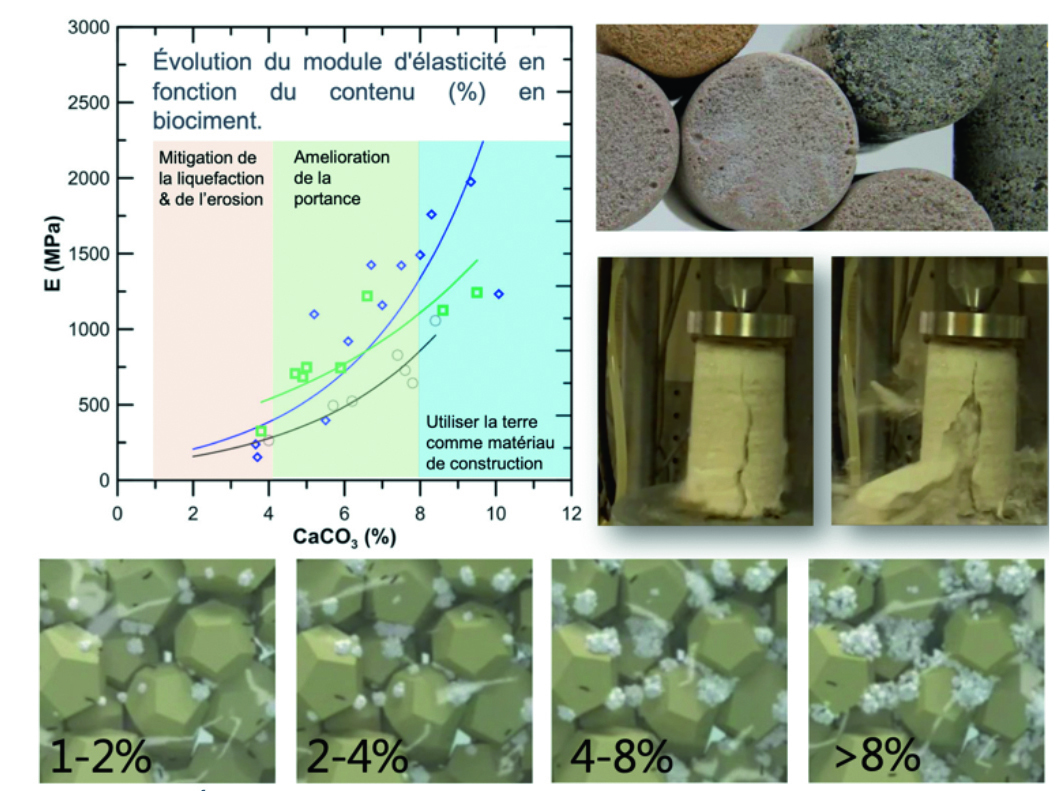 Actualités - LA BIO-CIMENTATION : UNE RÉVOLUTION POUR LE RENFORCEMENT ...