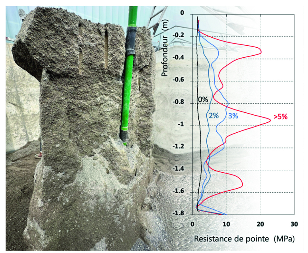 Actualités - LA BIO-CIMENTATION : UNE RÉVOLUTION POUR LE RENFORCEMENT ...