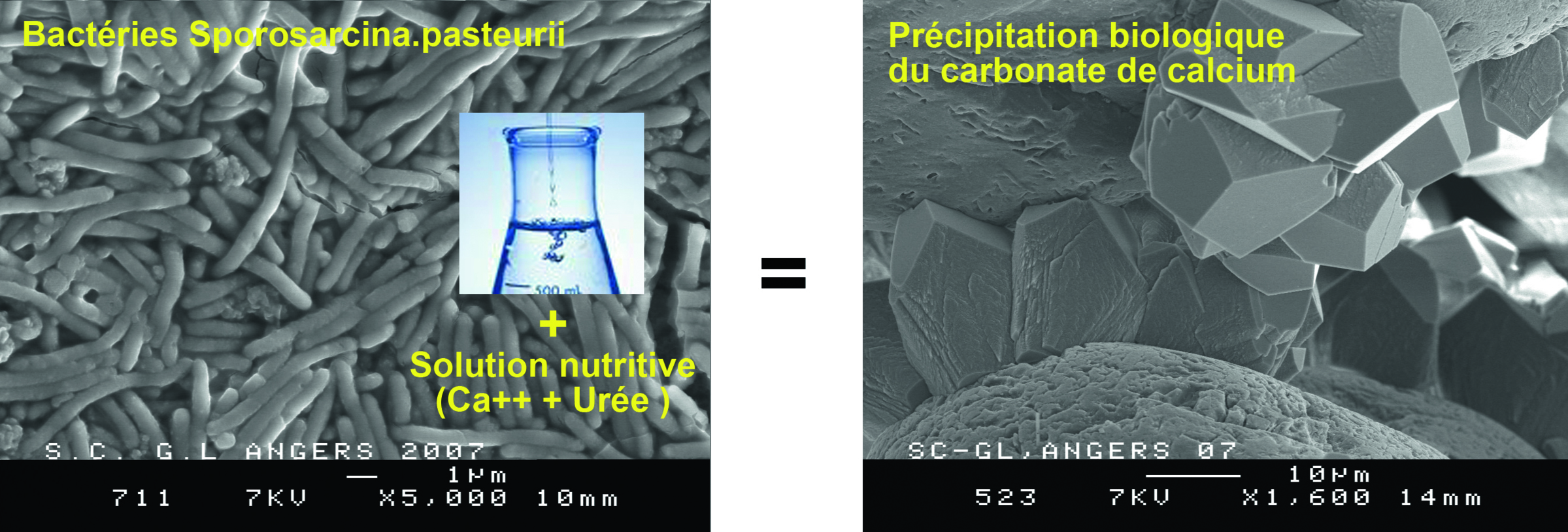 Chantier - France - Biocalcis, un traitement de biocalcification contre ...